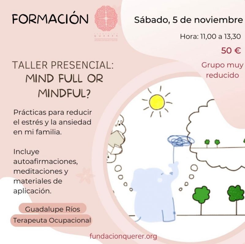 Taller MIND FULL or MINDFUL - Fundación Querer